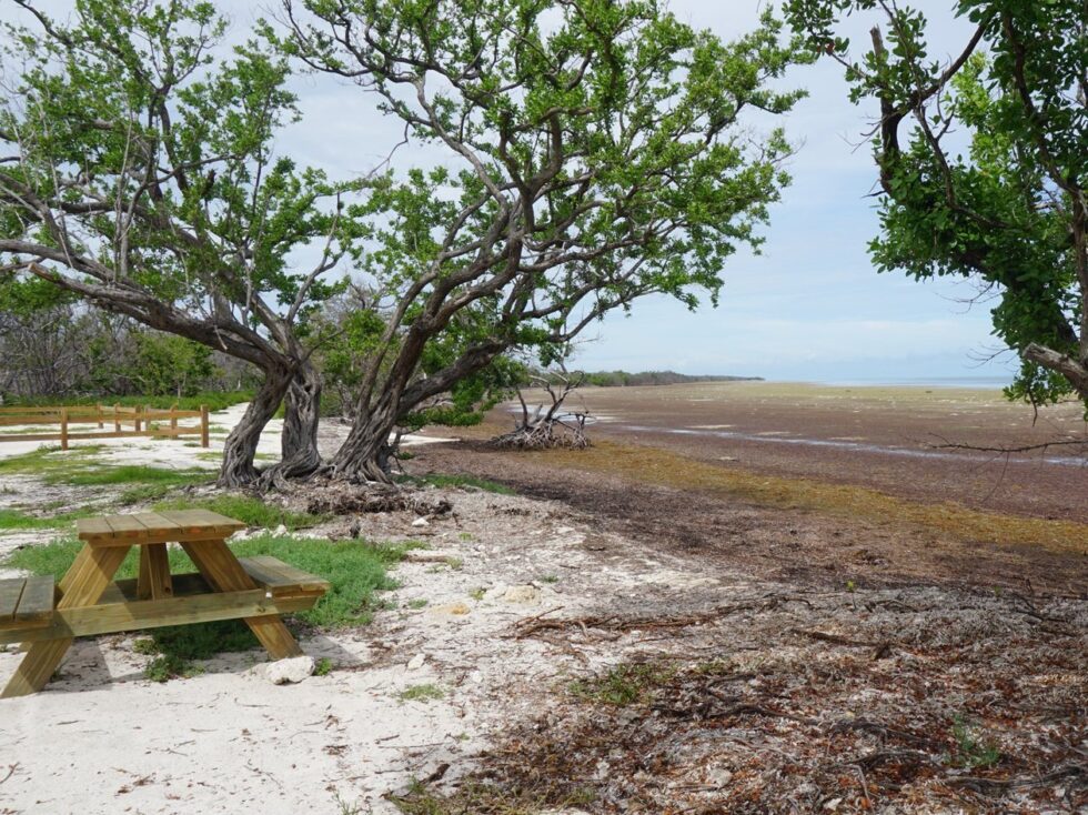 Our Resort – Island Bay Resort